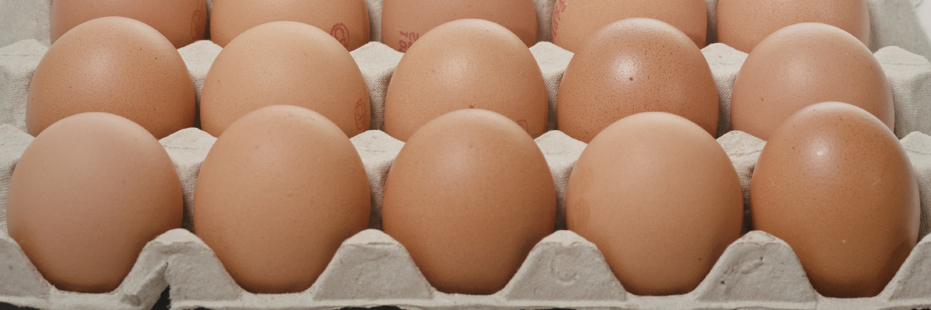 Egg Packaging: Types, Materials, Regulations, and Sustainable Solution ...