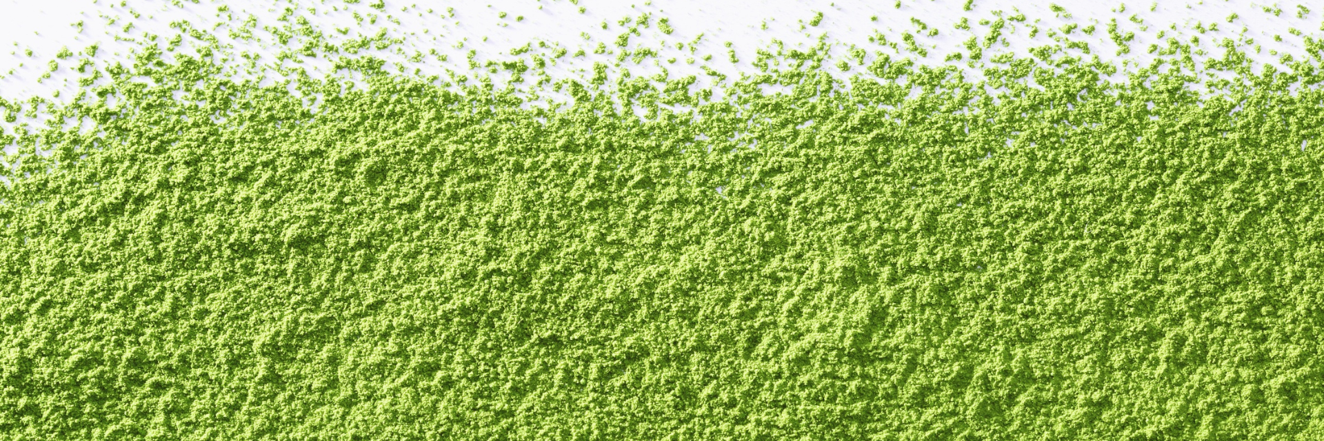 History of Matcha: Origins, Rituals, and Global Rise – KimEcopak