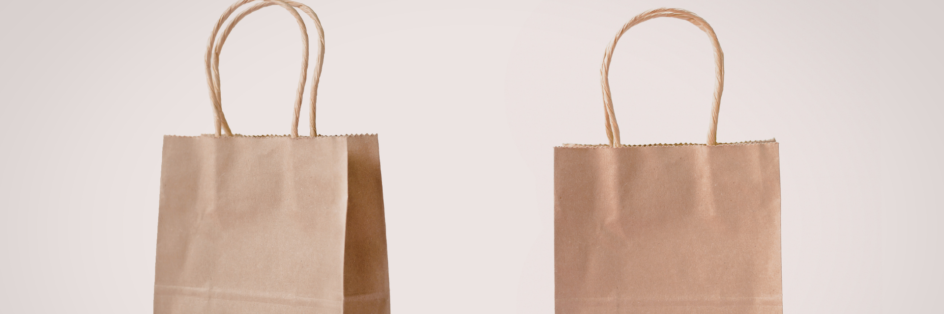 Kraft Paper Bags with Twisted Handles Wholesale in Ontario – Standardi ...