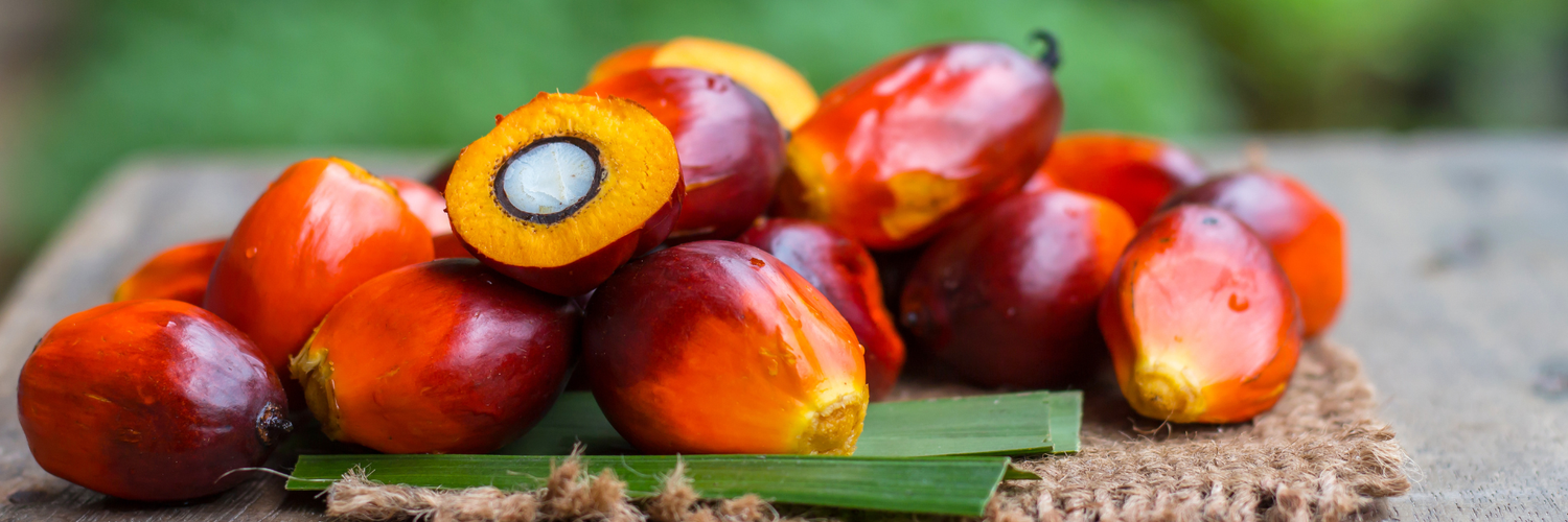 Palm Oil: Uses, Nutrition, Health Effects, Environmental Impact & Sust ...