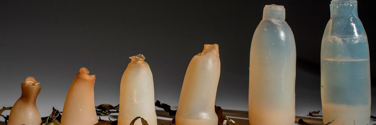 Seaweed Packaging: The Future of Sustainable Packaging – A Game-Change ...