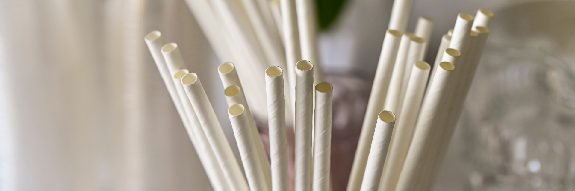 Smoothie Straw Size Guide: How to Choose the Perfect Diameter & Length ...