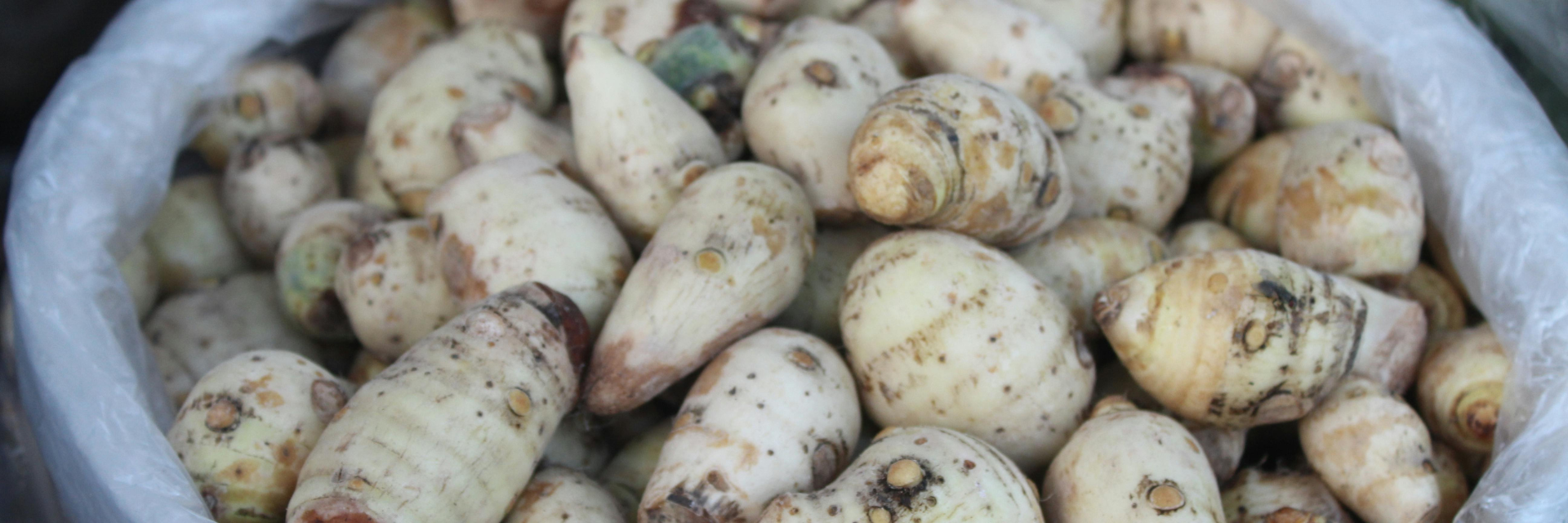 Taro Packaging for Canadian Food Businesses: Complete Guide for Bubble ...