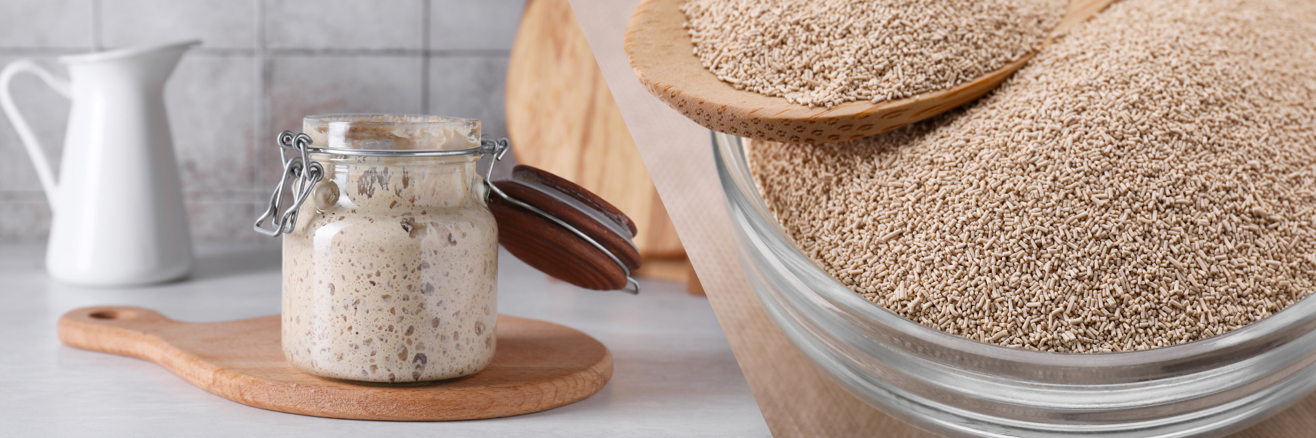 Sourdough Starter vs Yeast: Flavor, Texture, and Health Comparison ...